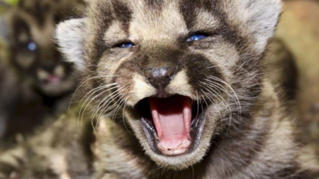 Quattro belle notizie da Messina e dal mondo – Episodio 16 - Normanno.com