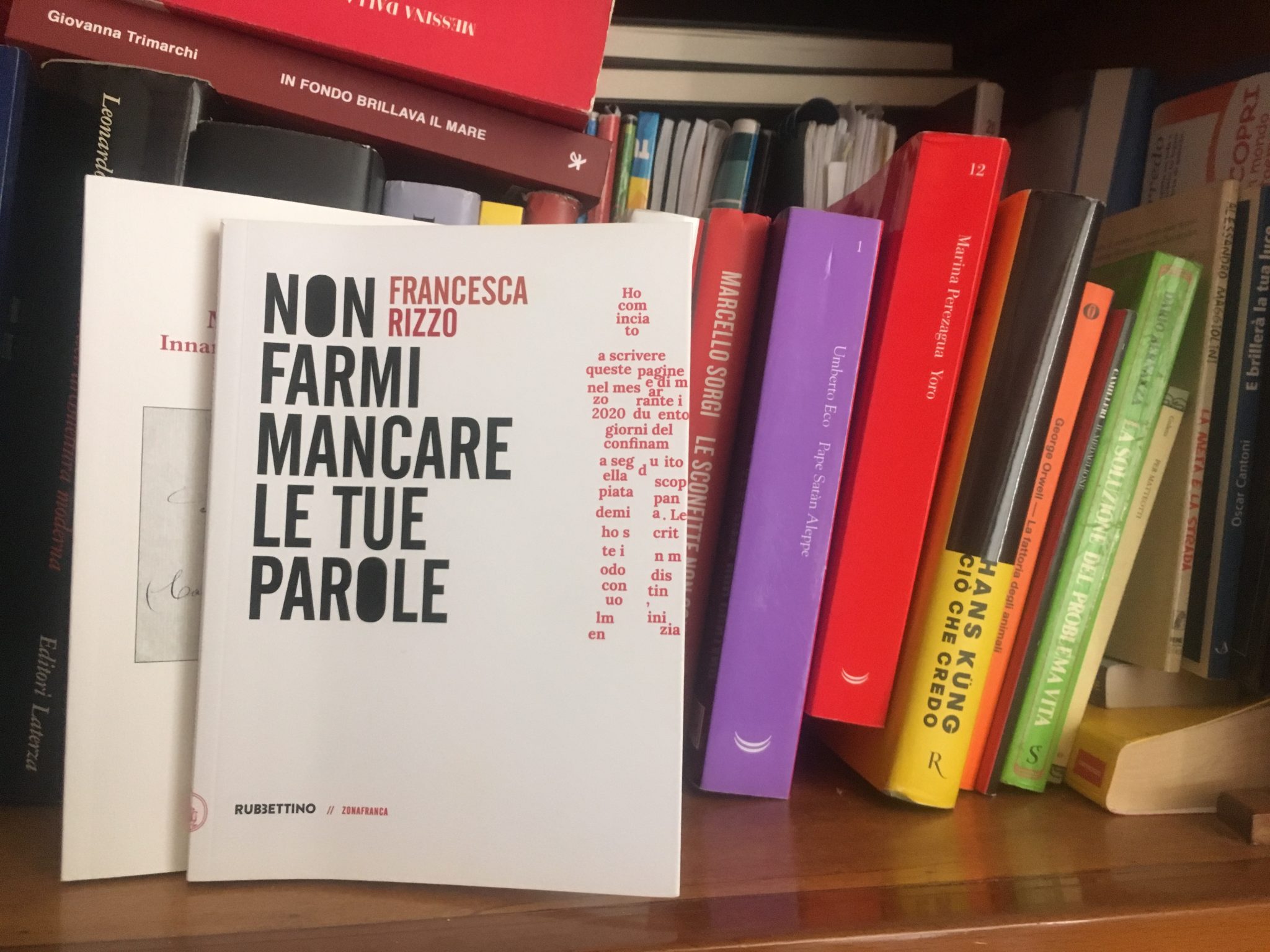 Le parole di Francesca Rizzo: dal tempo alla felicità, in un libro ...