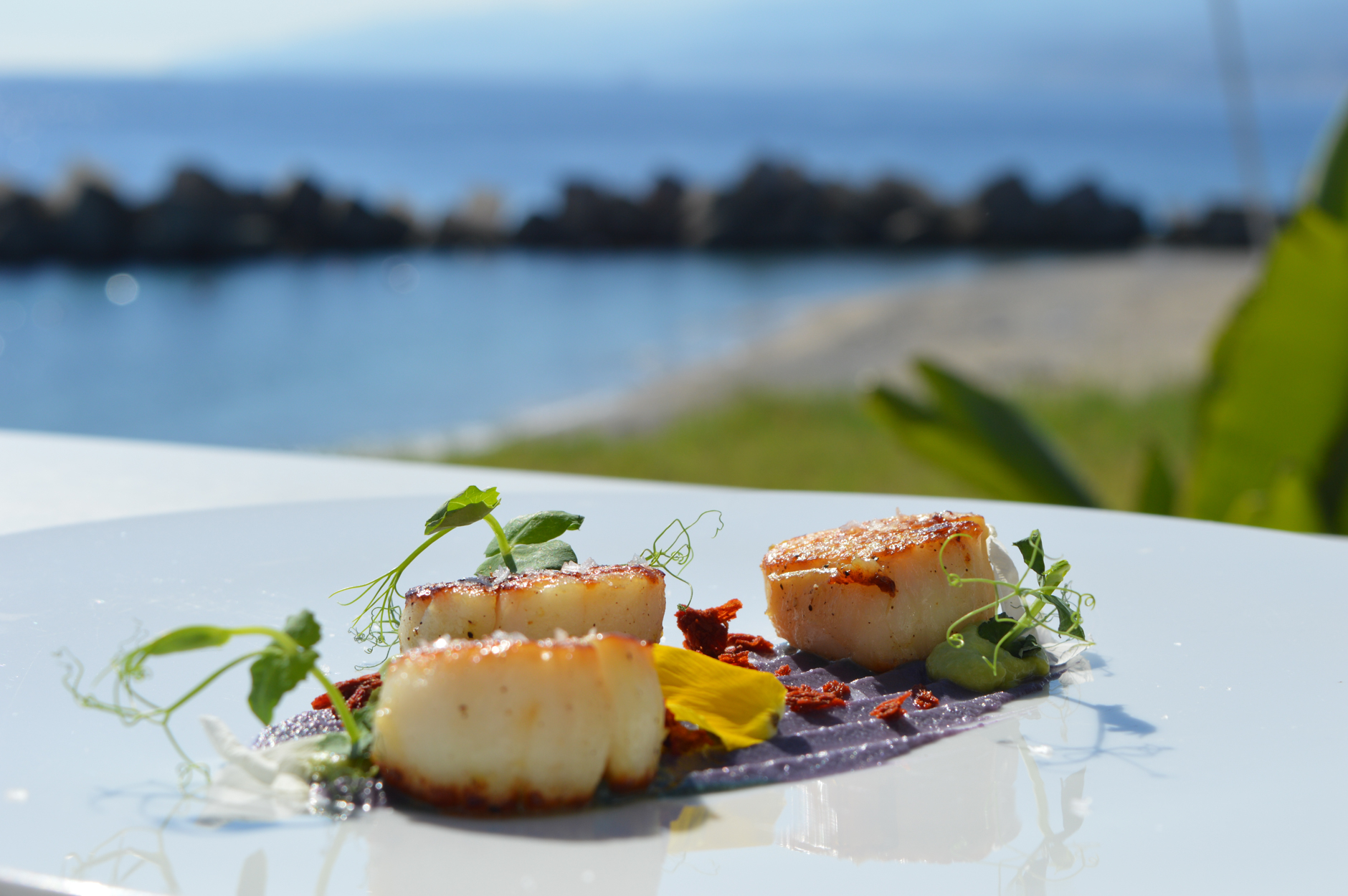 A Messina arriva “Venti di Gusto”: al Grecale una giornata dedicata ai ...