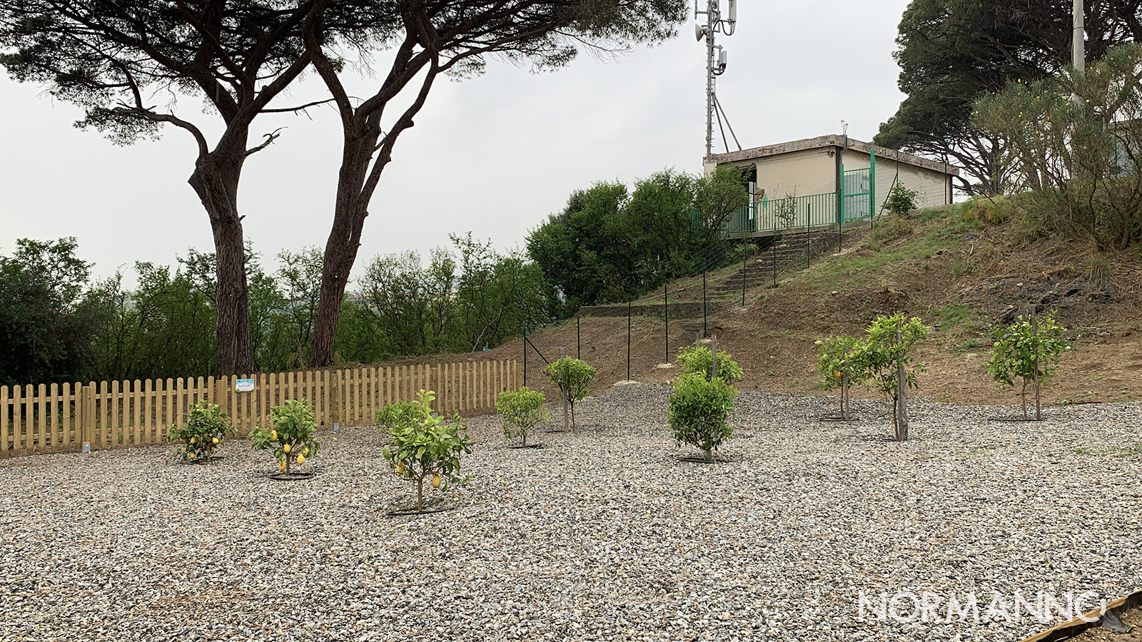 Messina a misura di bambini: inaugurato lo spazio gioco della Pineta di ...